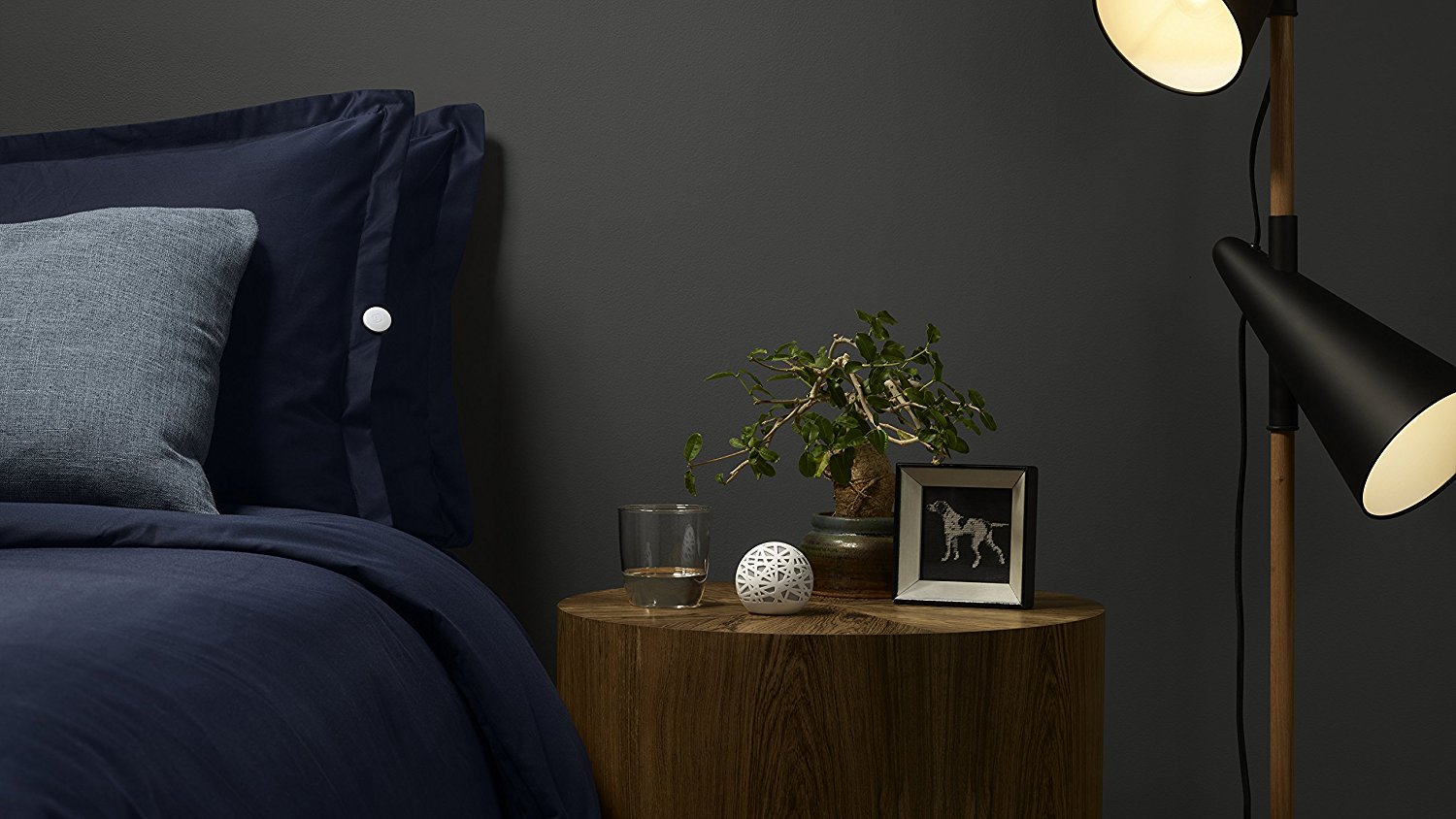 What You'll Love About the Sense Sleep Tracker 2nd Generation | OhGizmo!